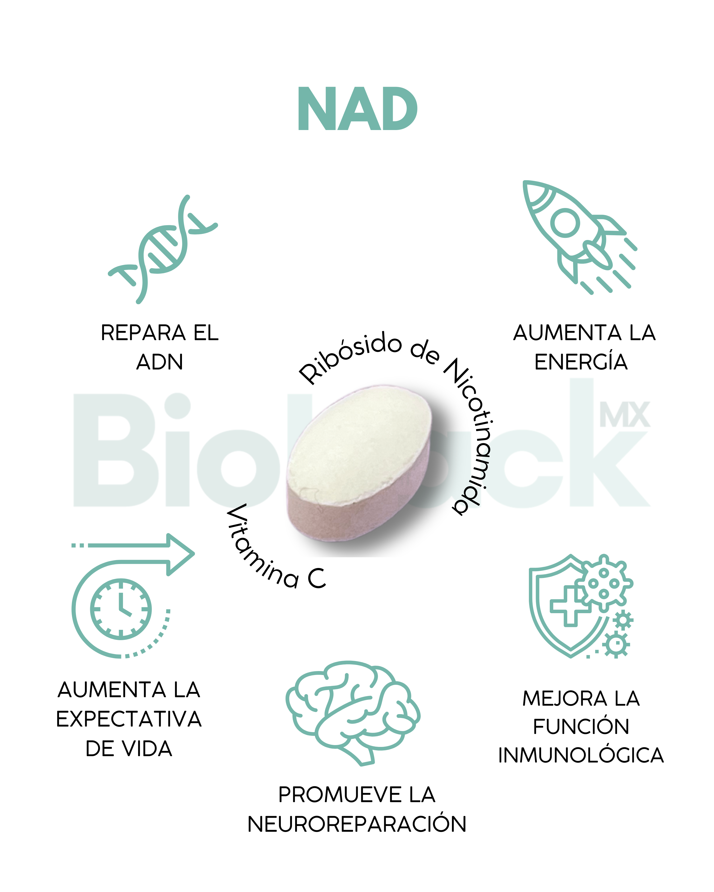 BioHack Mx