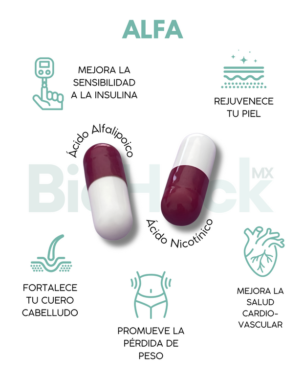 Productos – BioHack Mx